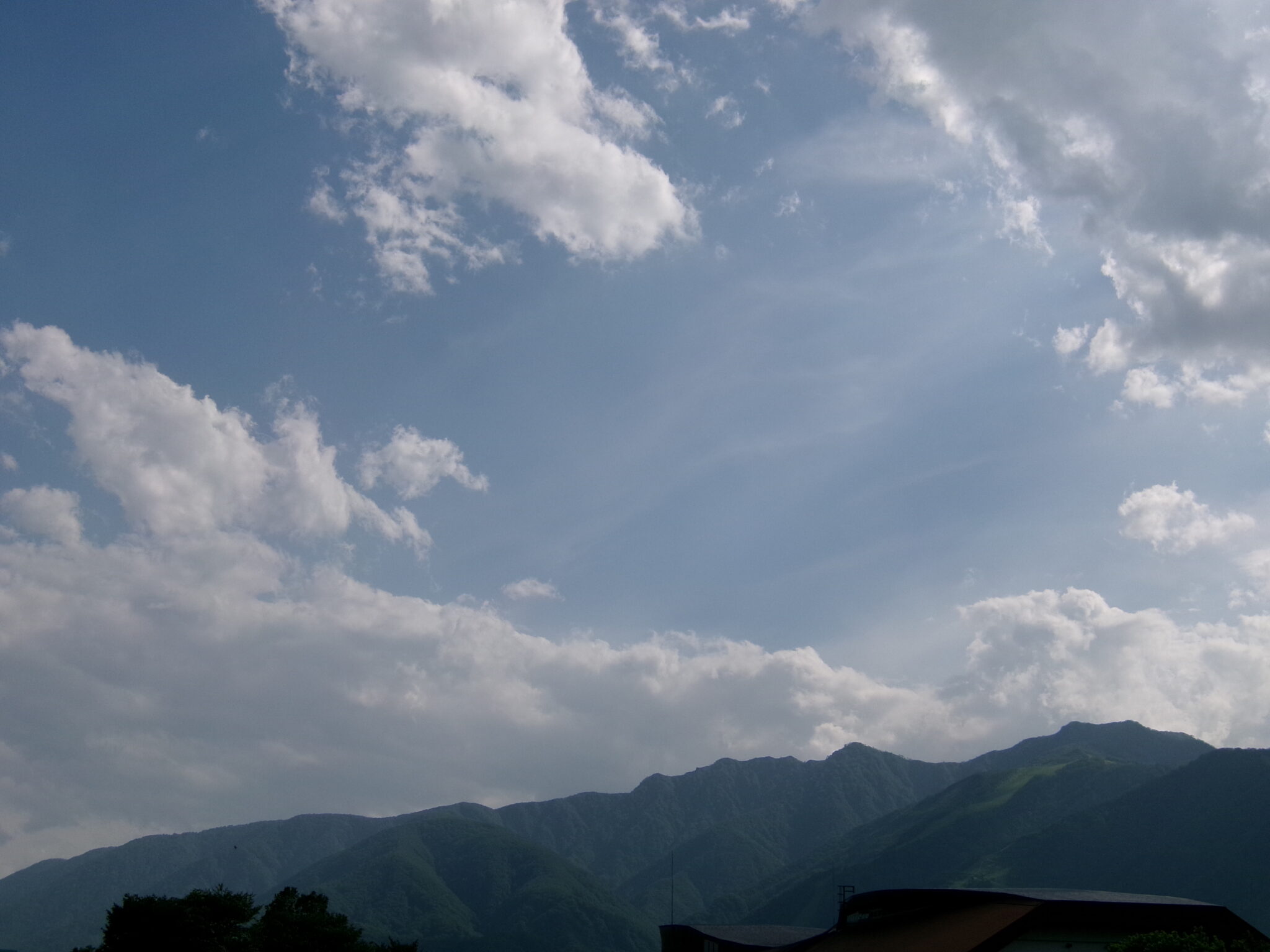 KODAK PIXPRO FZ45撮って出しjpg【作例】 | 241MAGAZINE